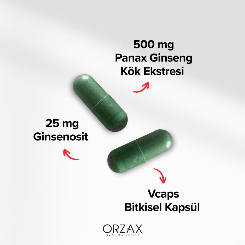 Ocean Panax Ginseng Kapsül - Orzax
